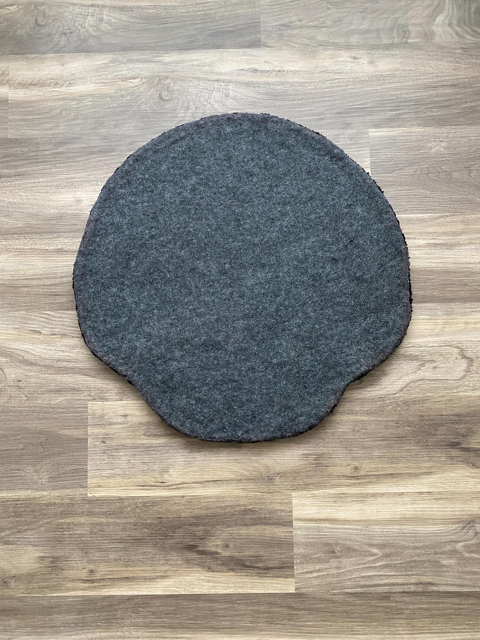 Toad Head Custom Tufted Rug - Etsy