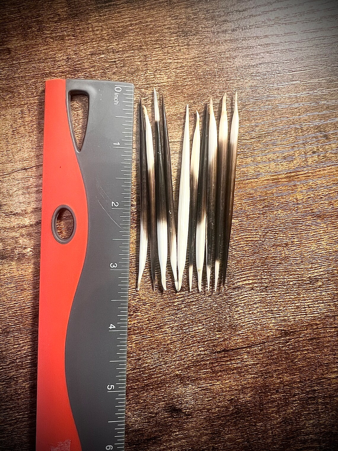 UPGRADED! Porcupine Quill Toothpick - Etsy