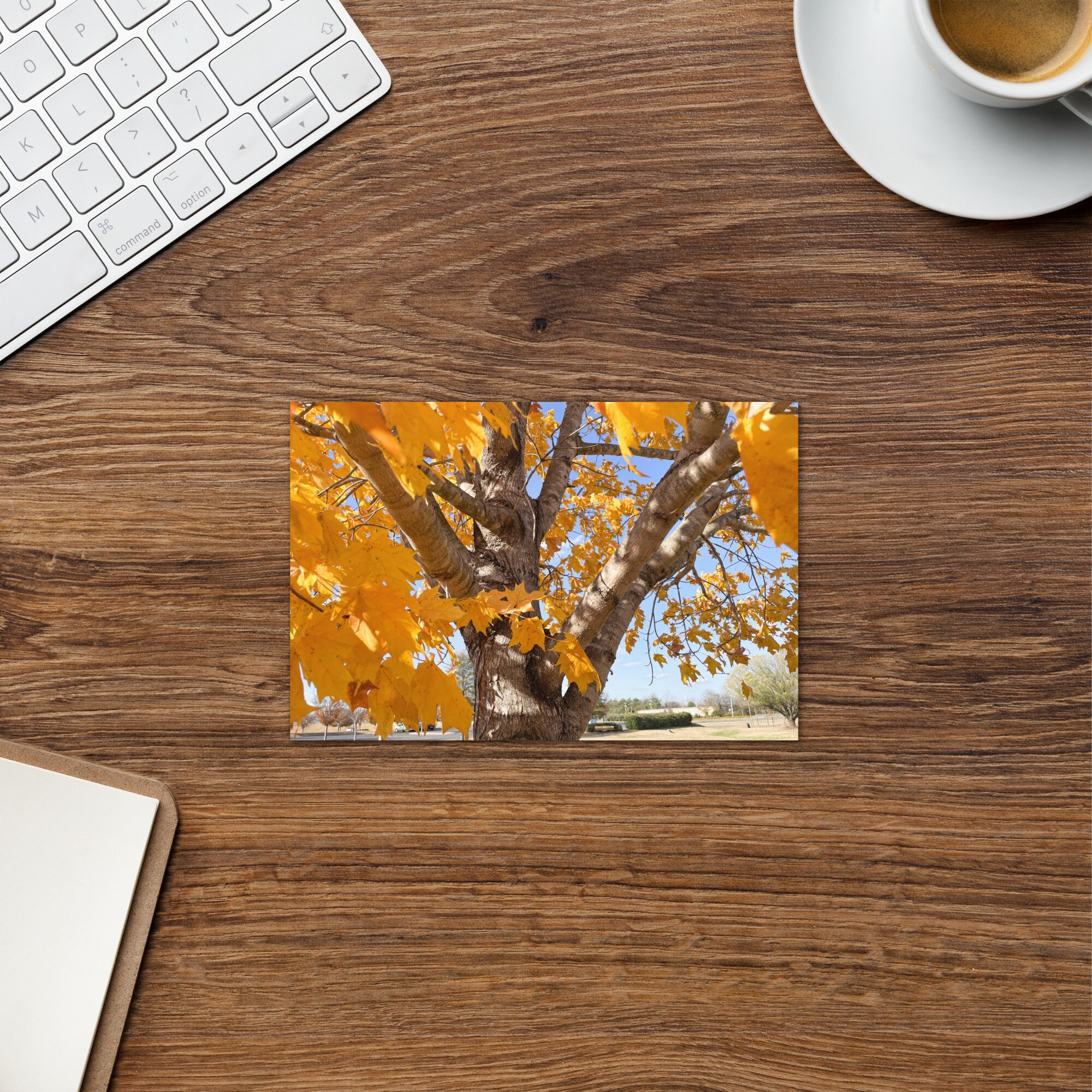 Windy Golden Maple Tree Greeting Card - Etsy