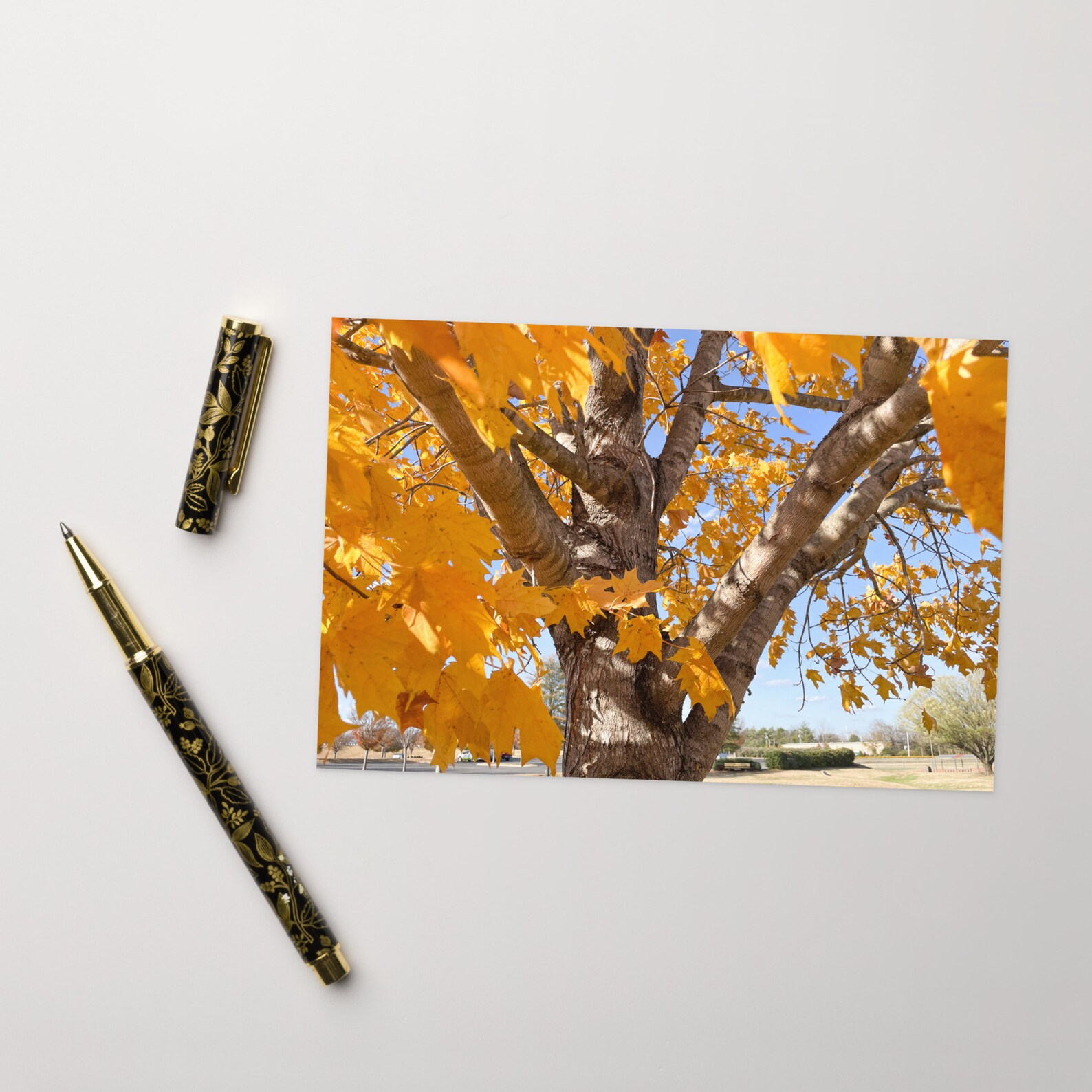 Windy Golden Maple Tree Greeting Card - Etsy