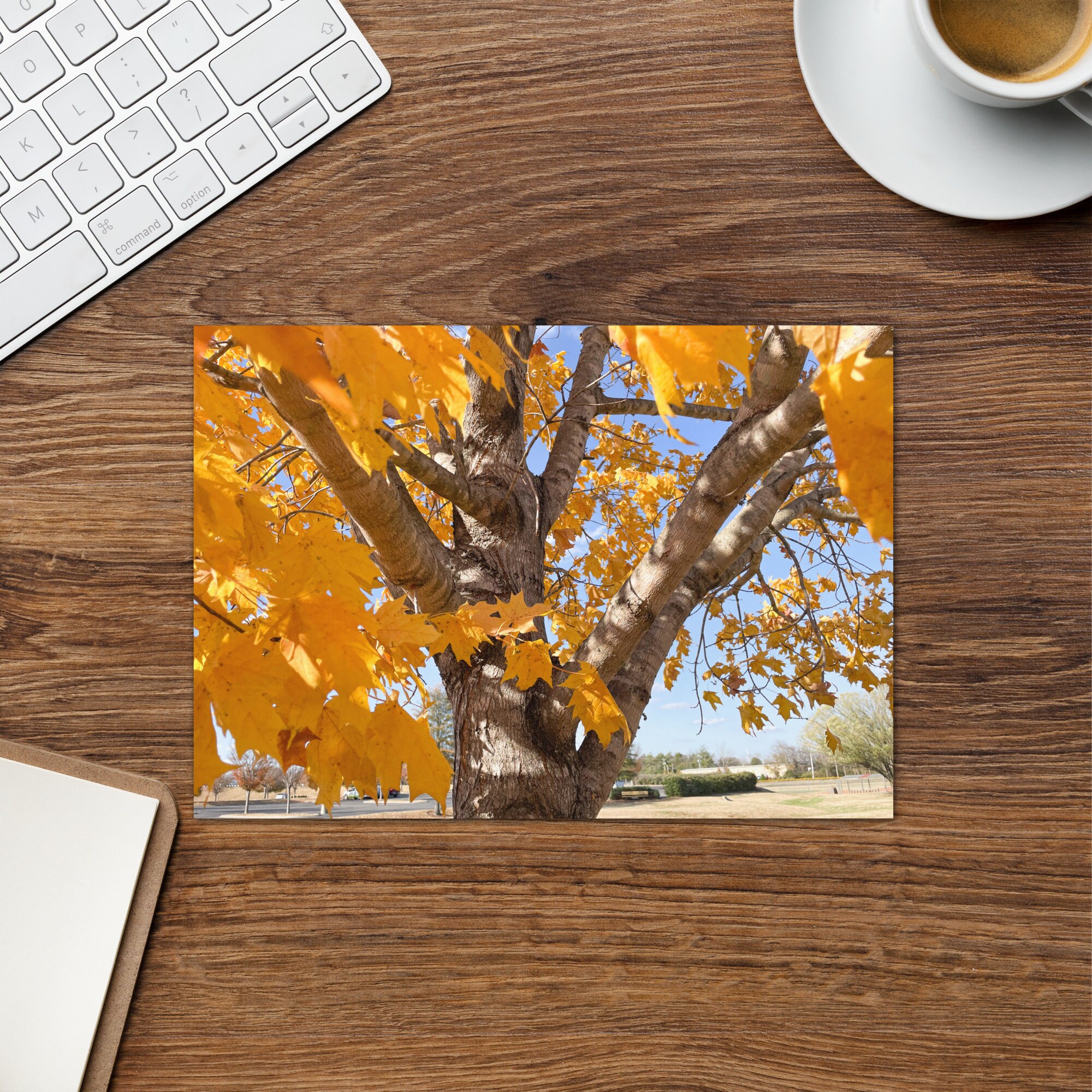 Windy Golden Maple Tree Greeting Card - Etsy