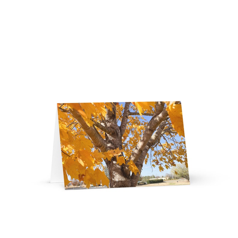 Windy Golden Maple Tree Greeting Card - Etsy