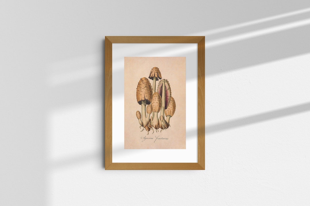 Botanical Mushroom Print Garden Decor Vintage Mushroom Poster and ...