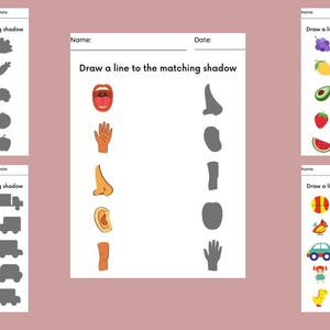 Preschool Matching Worksheets: Early Learning Activities (PDF) - Etsy