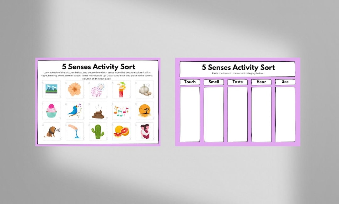 5 Senses Sorting Activity Worksheet, Preschool Science Printable (PDF ...