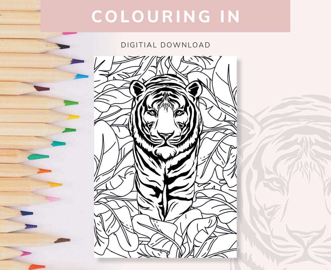 Tiger Coloring Page PDF - Instant Download - Etsy