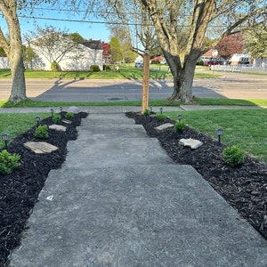 Wooden Cedar Lamp Post With Solar Light - Etsy