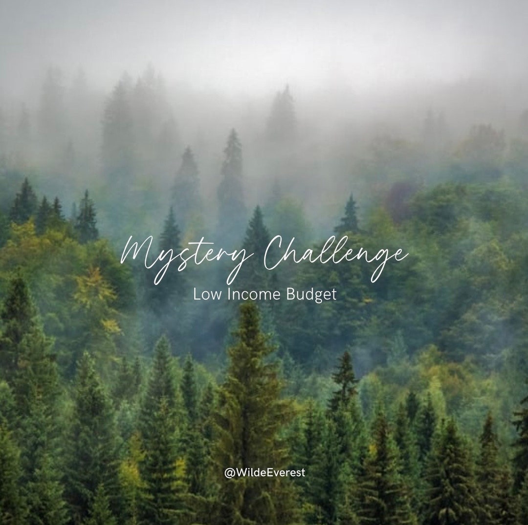 Mystery Scratch and Save Challenge- Random Pick- Low Income - Etsy