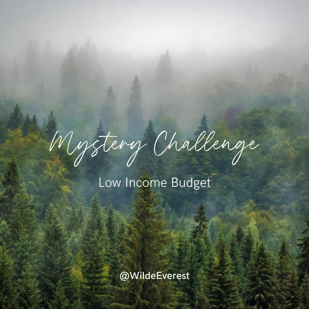 Mystery Scratch and Save Challenge- Random Pick- Low Income - Etsy