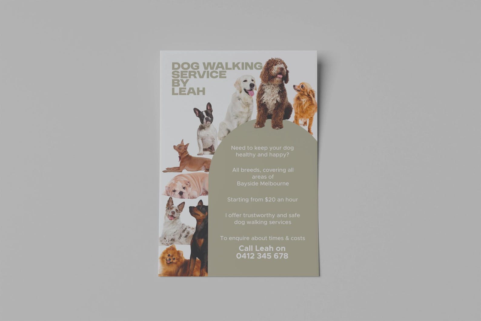 Dog Walking Poster Doggie Business Flyer Animal Services Mailout ...