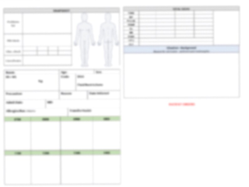 Adult Clinical Worksheet for Nursing Students and New Grad Rns - Etsy