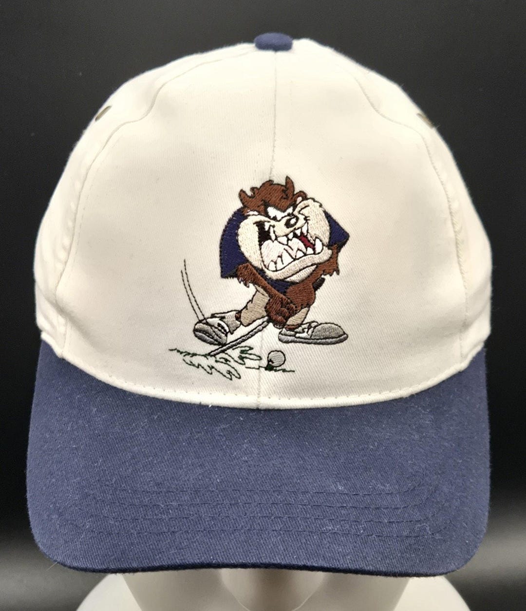 Vintage 1999 Warner Bros Taz Adjustable Golf Hat Looney Tunes Leather ...