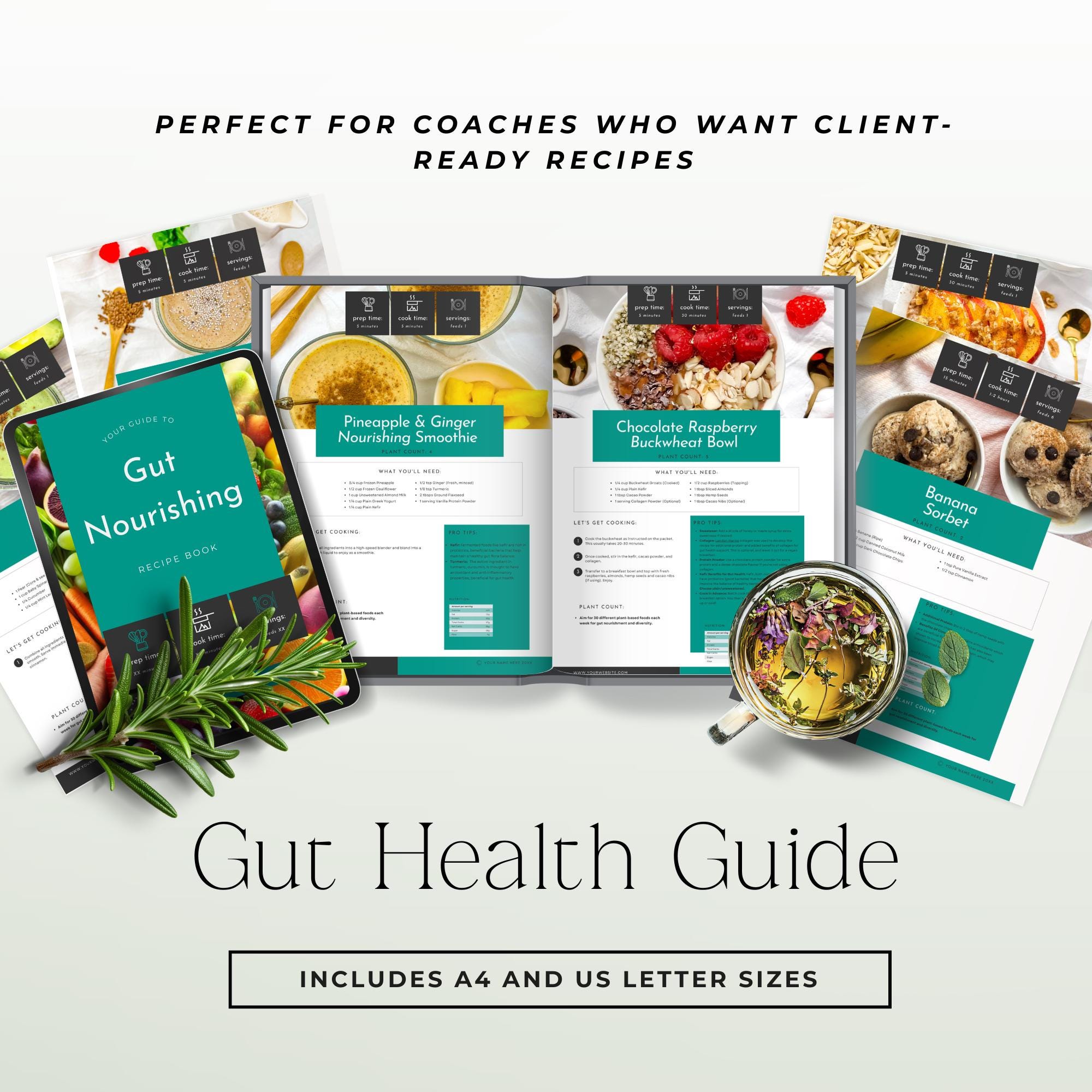 Editable Gut Health Recipe Book Canva Template, Nutrition Coach Lead ...