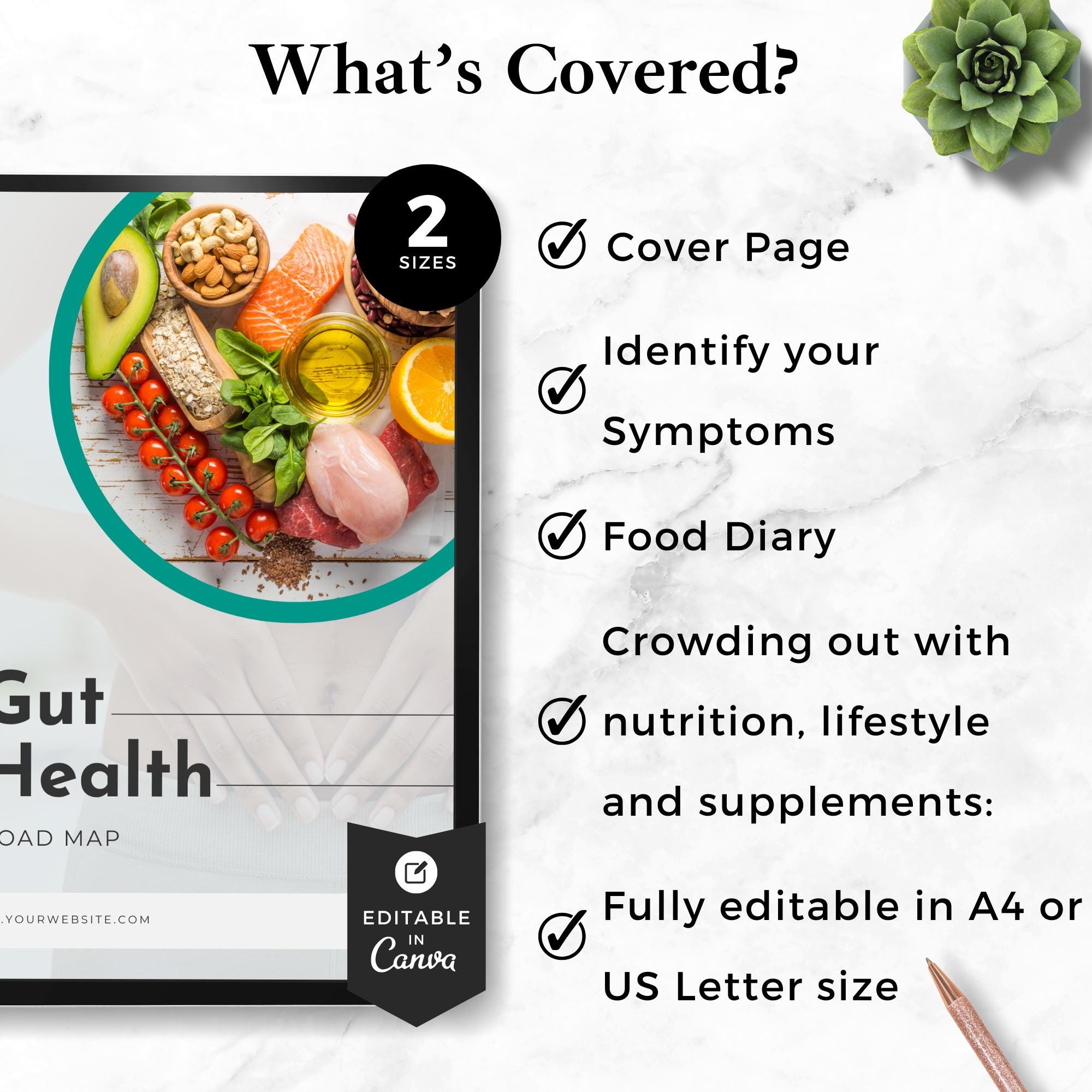 Gut Health Roadmap Template for Nutritionists, Editable Canva Coaching ...