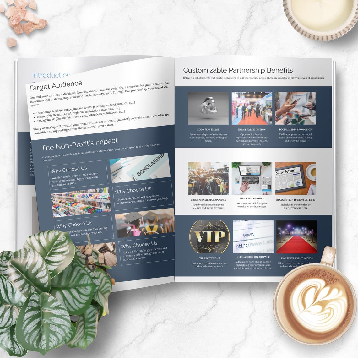 Nonprofit Sponsorship Proposal Template Editable Charity Sponsorship ...