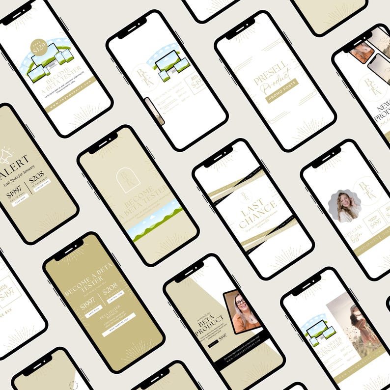 Course Launch Instagram Story Templates, Beta Course Presell Canva ...