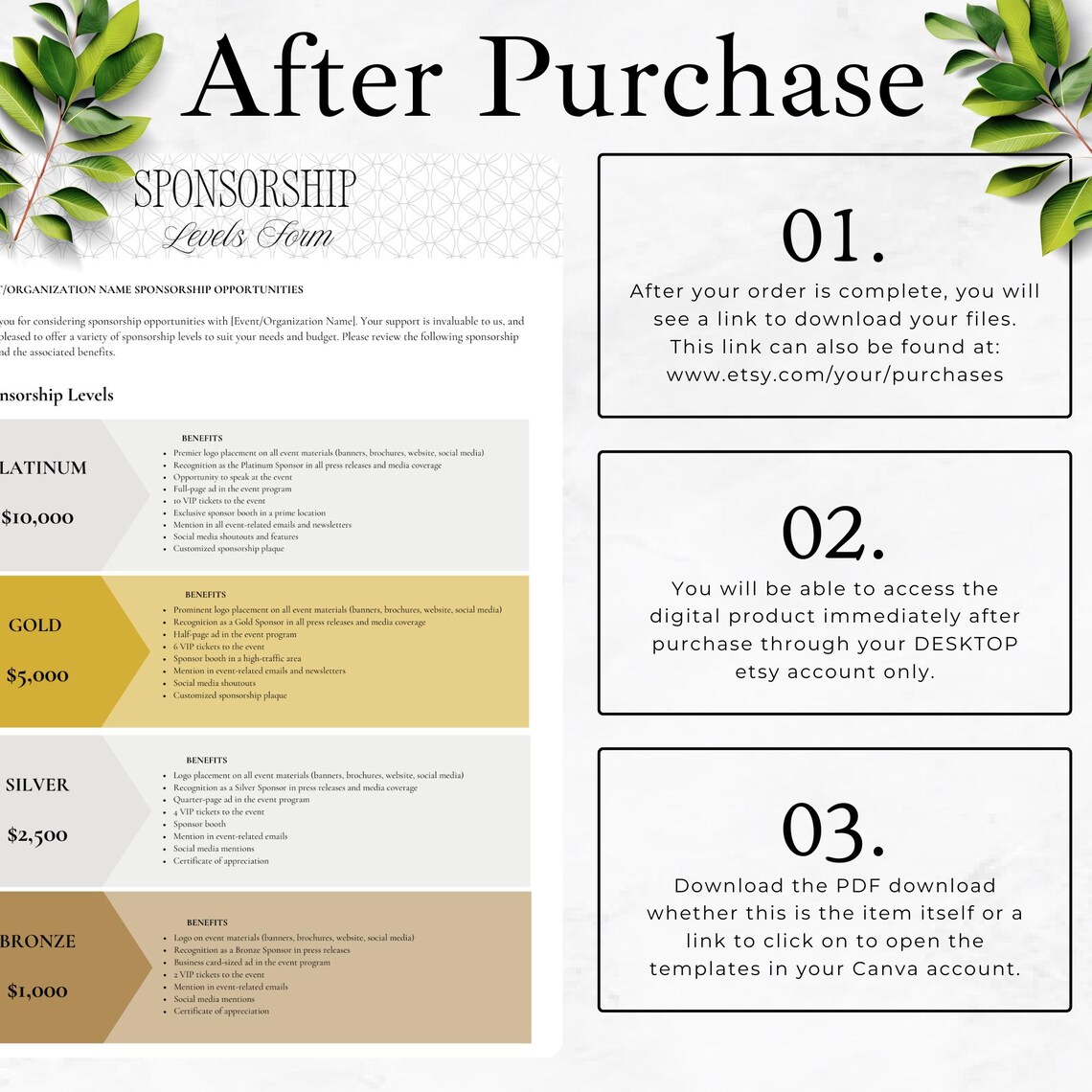 Sponsorship Level Flyer Template Printable Club Sponsorship Proposal ...