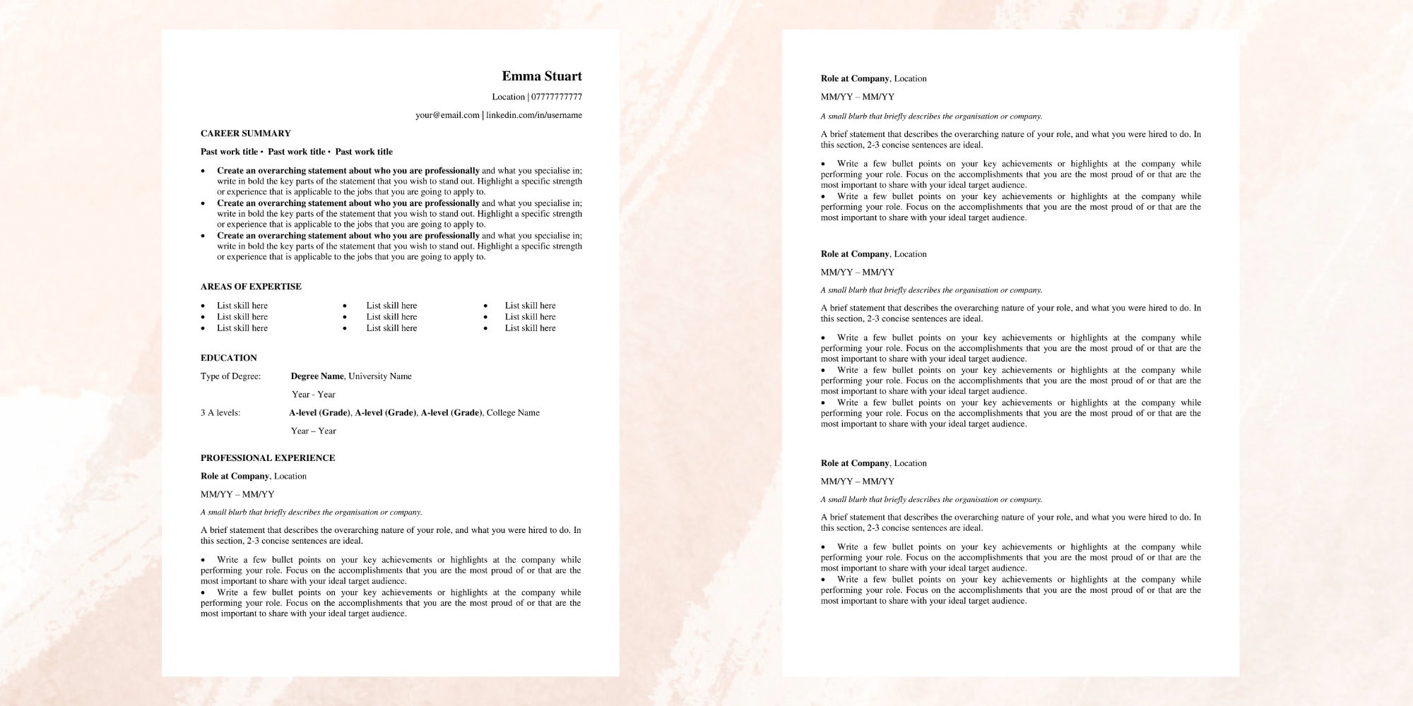 Professional Resume Template, CV Template, Filled Out Example of ...
