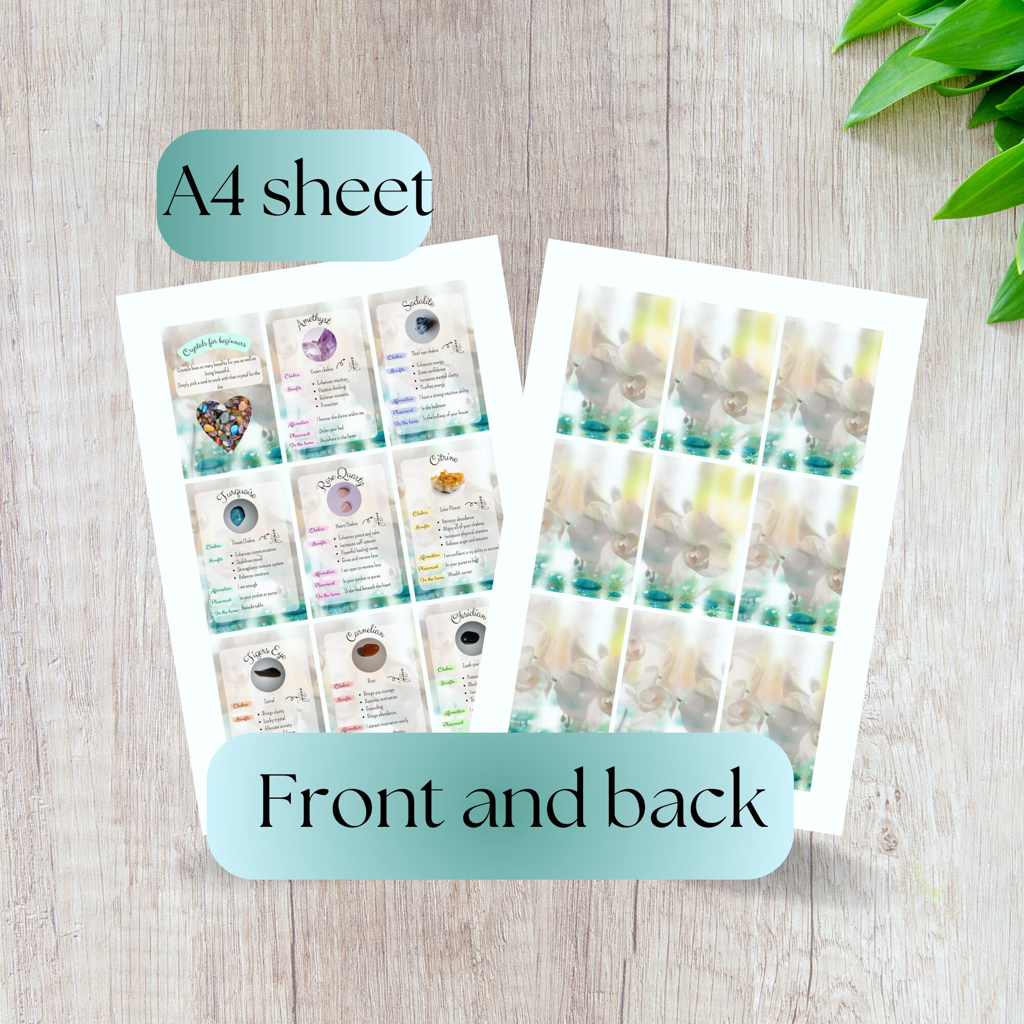 Deluxe Crystal Info Cards Empower Your Crystal Healing Practice With ...