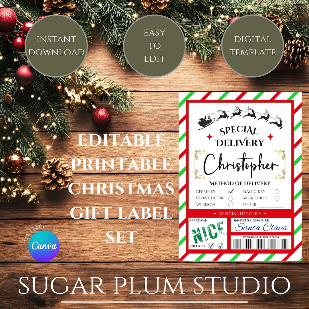 Editable Printable Special Delivery Gift Label Template Set From Santa ...
