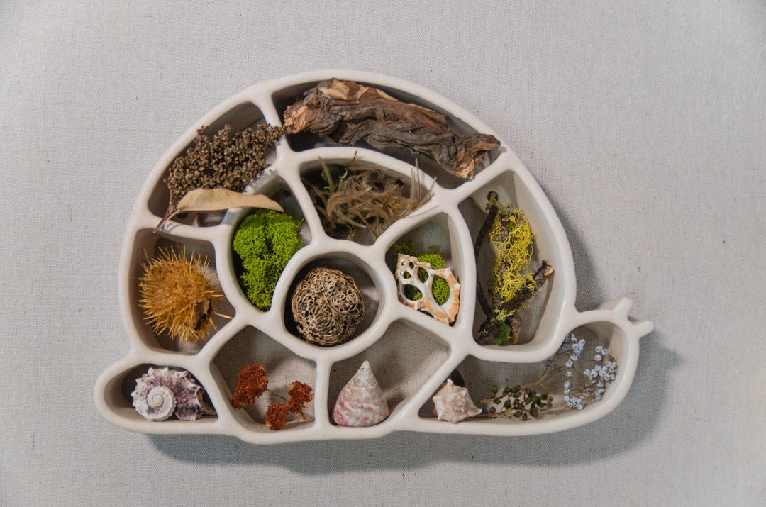 Snail Curio Display Unit – Hand Built Ceramic Trinket Holder, Ceramic ...