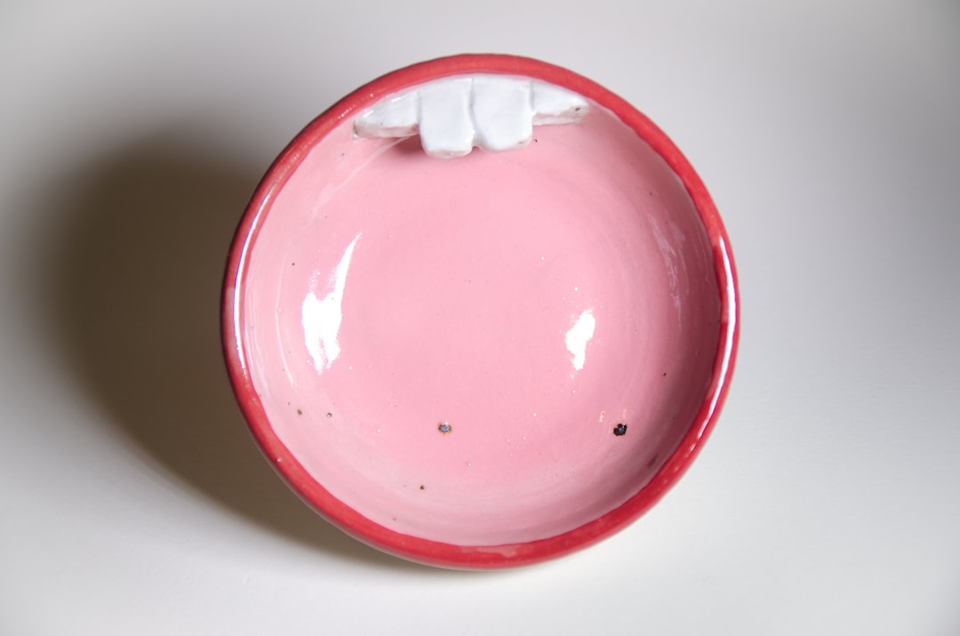 Open Mouth Ceramic Bowl – Wheel-thrown Twilight-inspired Bella Swan ...
