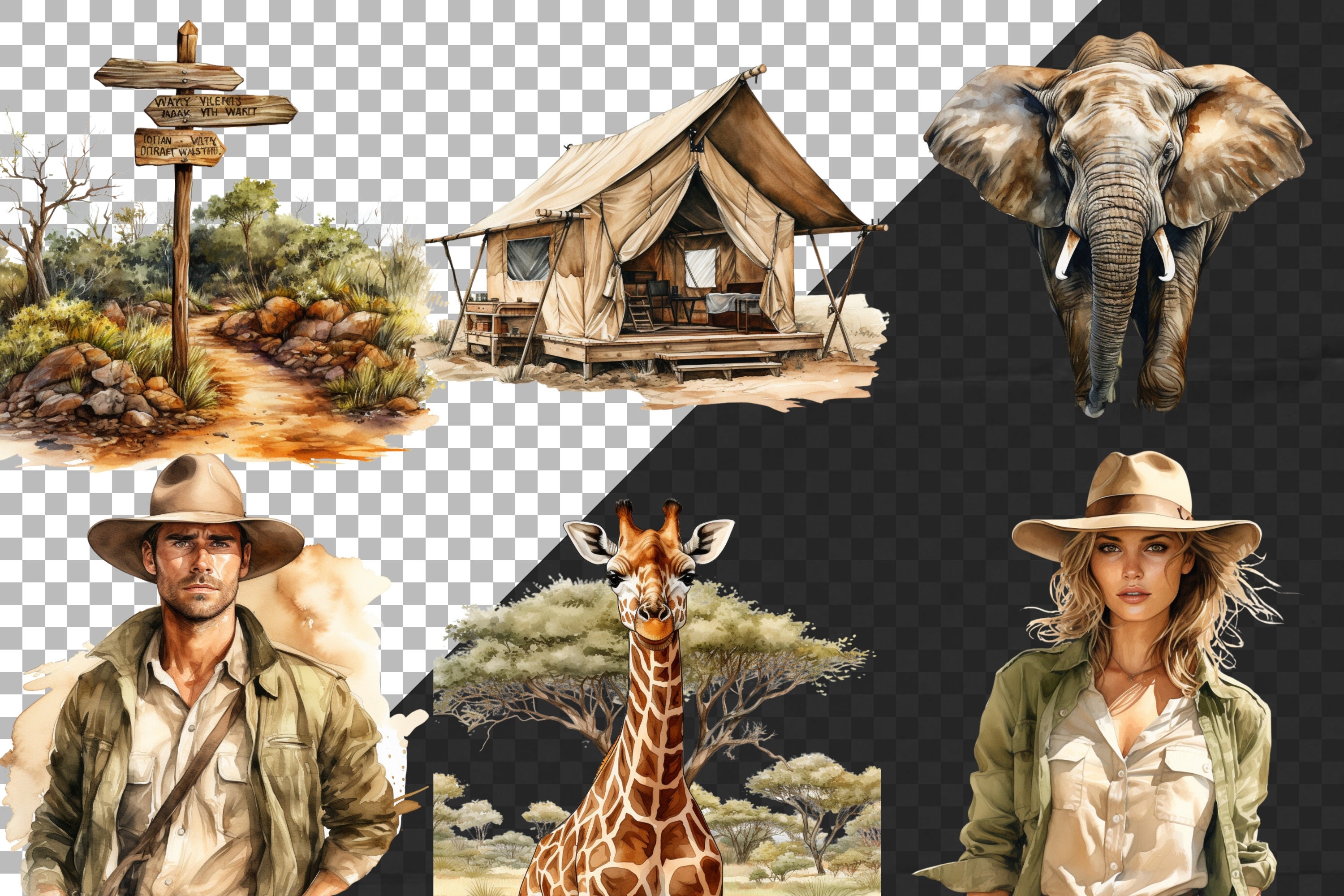 Watercolor Safari Clipart Bundle Safari Essentials Images - Etsy
