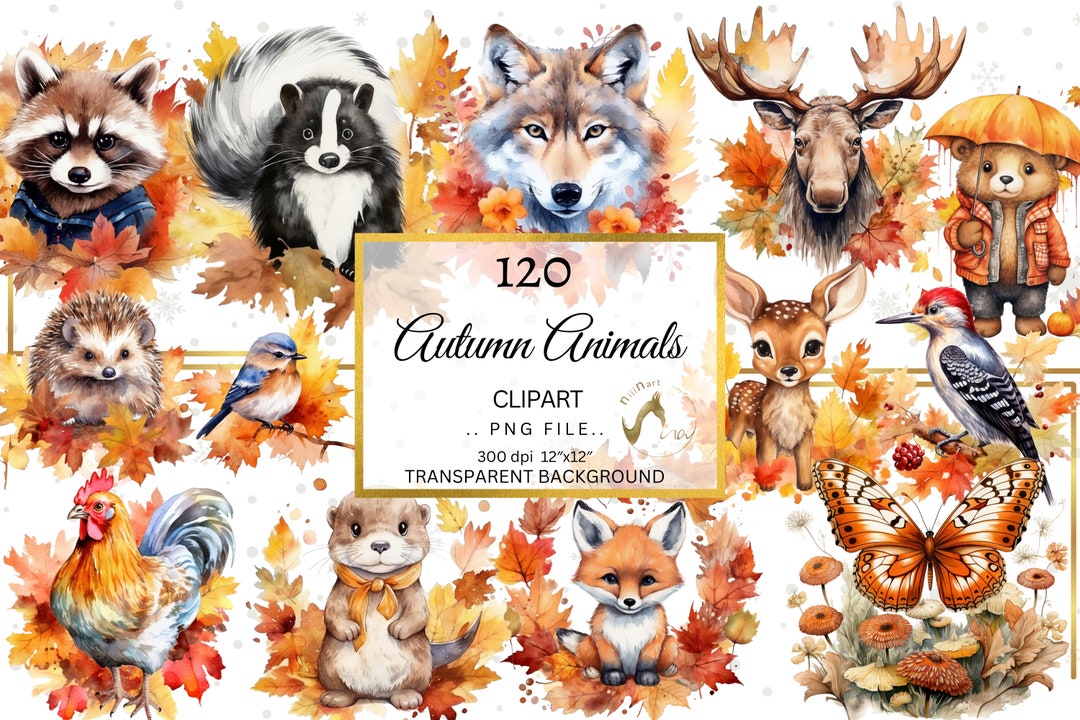 Watercolor Autumn Animals Clipart Bundle, PNG Files (digital Download ...