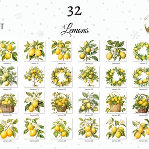 32 Watercolor Lemon Clipart, Fruit Clipart, Lemon PNG Bundle ...