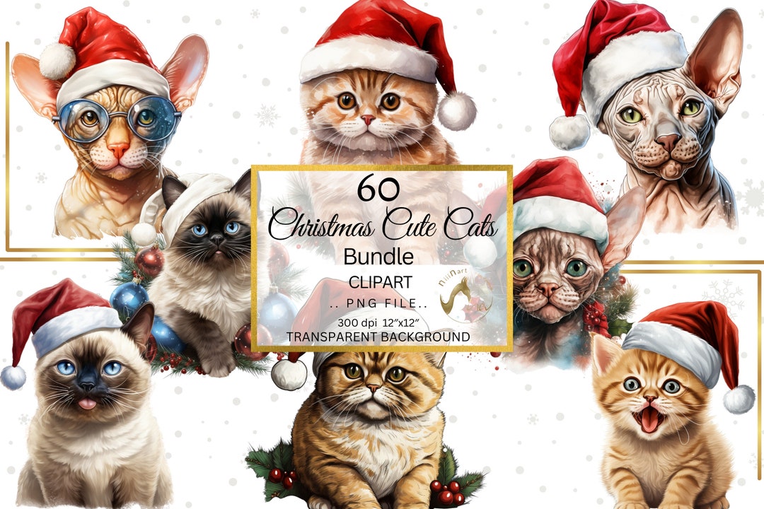 Christmas Cats Clipart Bundle, Cat Breeds Watercolor Clipart, Cat ...