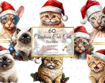 Cute Christmas Kitten Clipart Christmas Baby Animal Clipart - Etsy