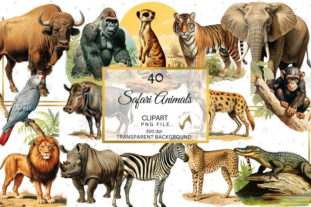 Safari Animal Clipart Bundle, Jungle Savannah PNG, African Animals ...