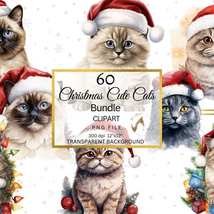 Christmas Cats Clipart Bundle, Cat Breeds Watercolor Clipart, Cat ...