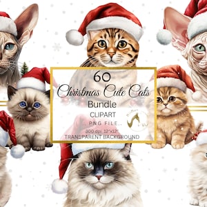 Christmas Cats Clipart Bundle, Cat Breeds Watercolor Clipart, Cat ...
