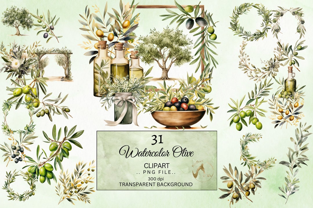 Watercolor Olive Clipart - Digital Png Olive Branches and Leaves ...