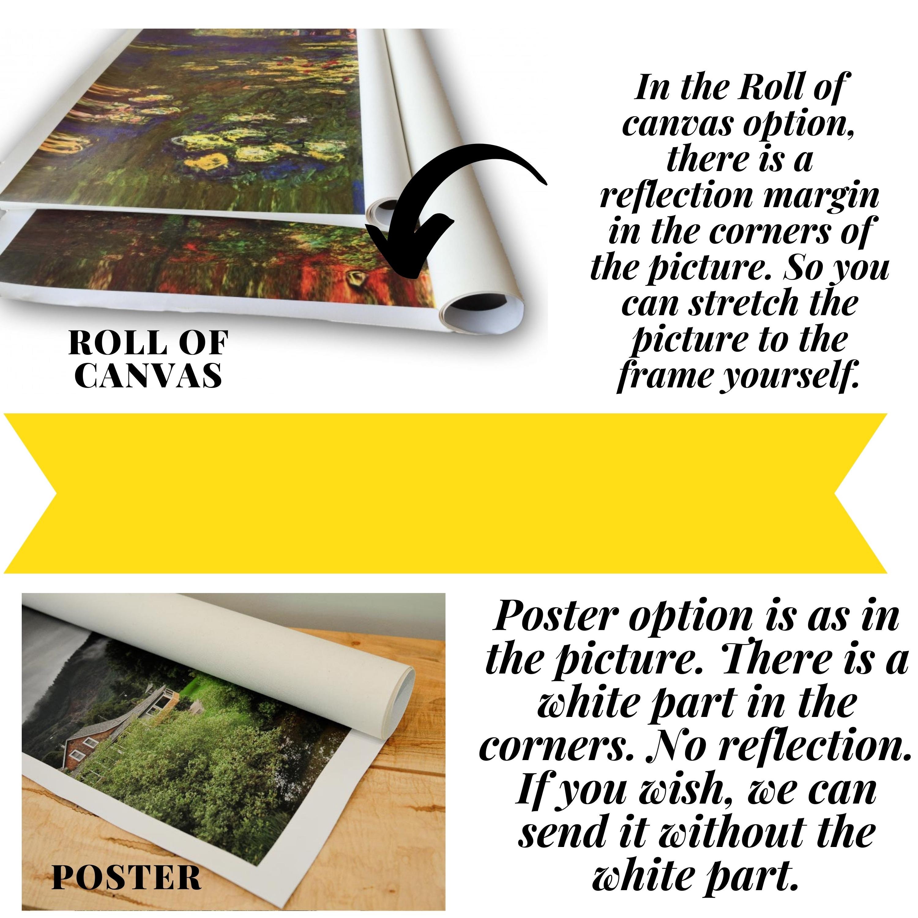 Michael Jordan Dunk Poster