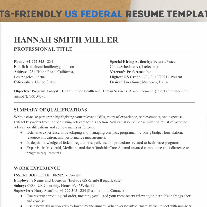 Federal Template for a Job Resume - Etsy