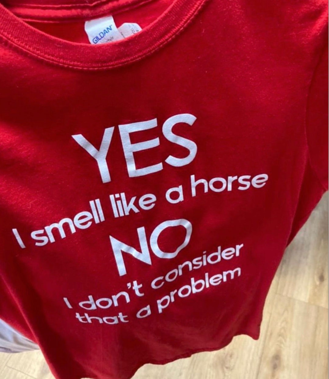 Yes I Smell Like a Horse No I Dont Consider Problem Cursed T-shirt Y2k ...