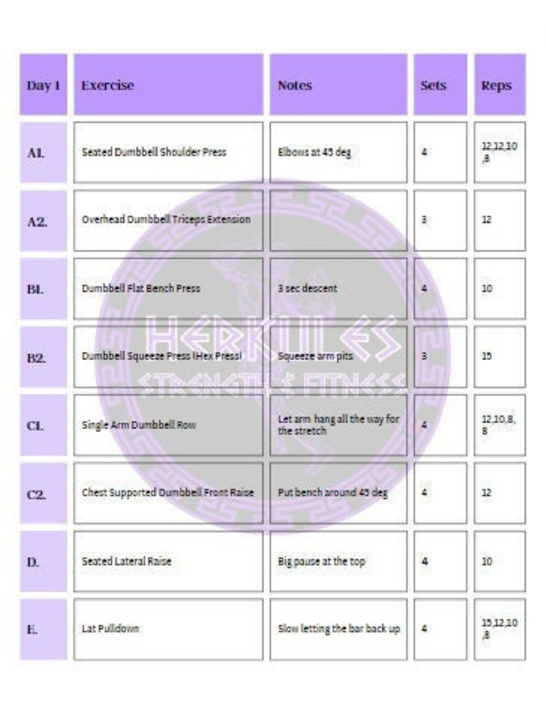 Beginner Workout Program - Etsy