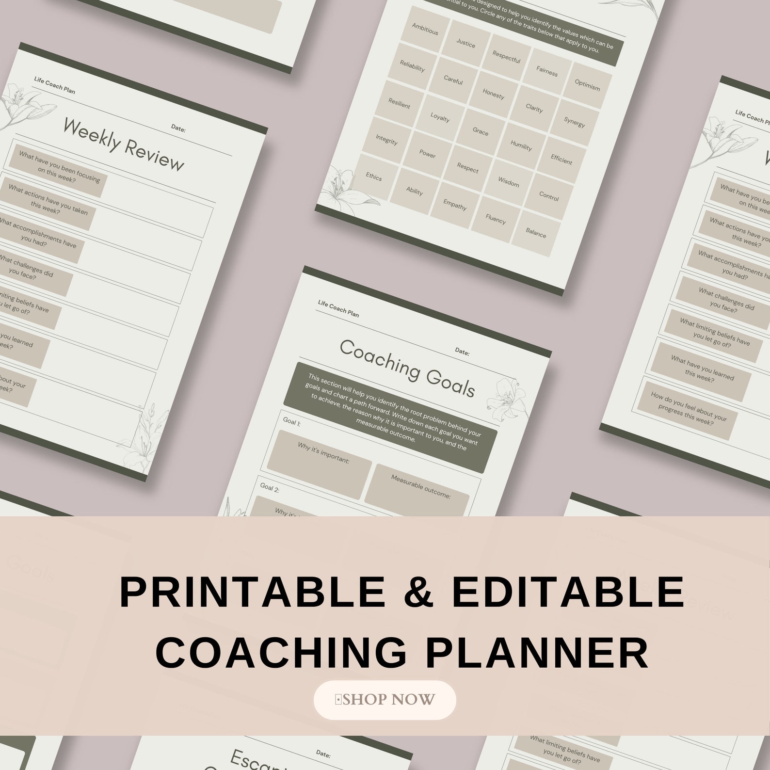 Coaching Worksheet Template, Coaching Tools, Coaching Templates,coach ...