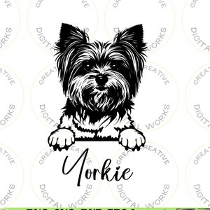 Yorkie Svg,peeking Yorkie Svg, Peeking Yorkshire Terrier, Yorkshire Svg ...