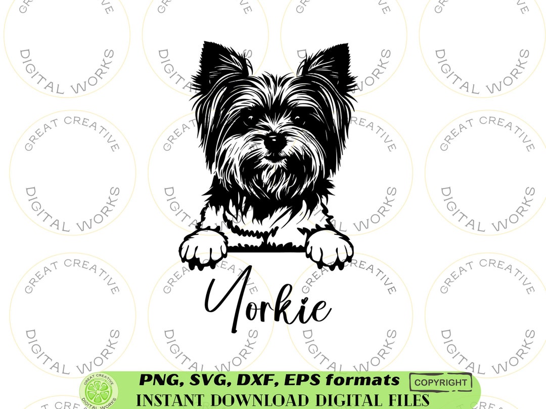 Yorkie Svg,peeking Yorkie Svg, Peeking Yorkshire Terrier, Yorkshire Svg ...