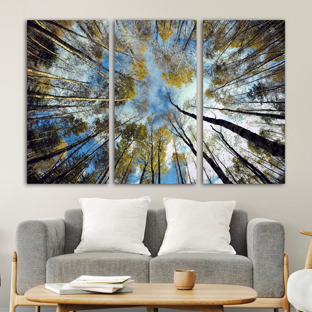 Sky in Birch Forest Looking up Wall Art, Birch Forest Canvas Wall Art ...