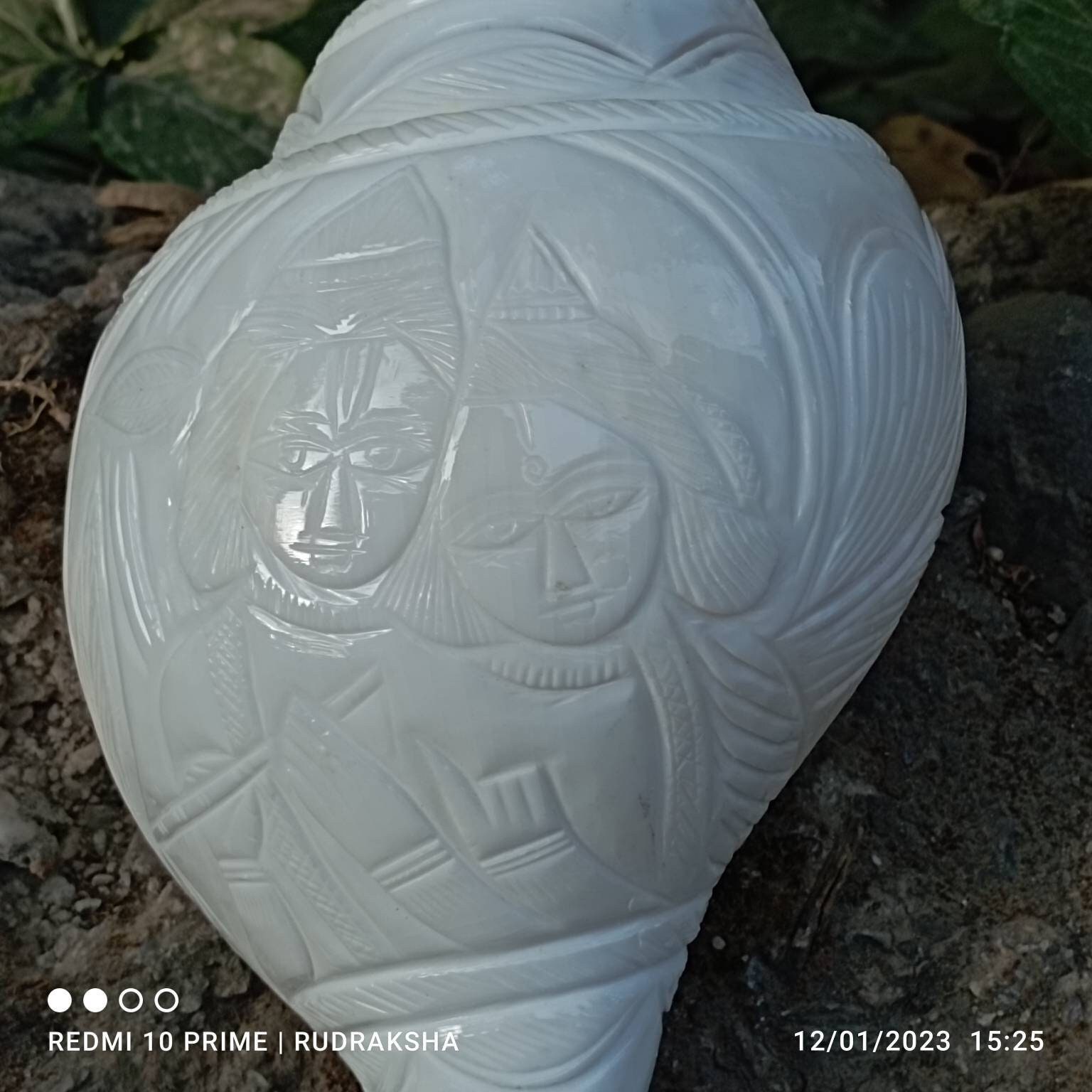 Puja Conch Shell, You Have to Blow Into This Shell, It Makes a ...