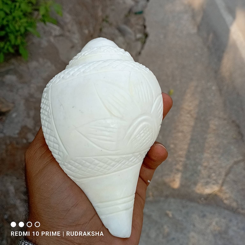 Conch Shell Spiritual Puja-blowing Shankh Big Soothing - Etsy