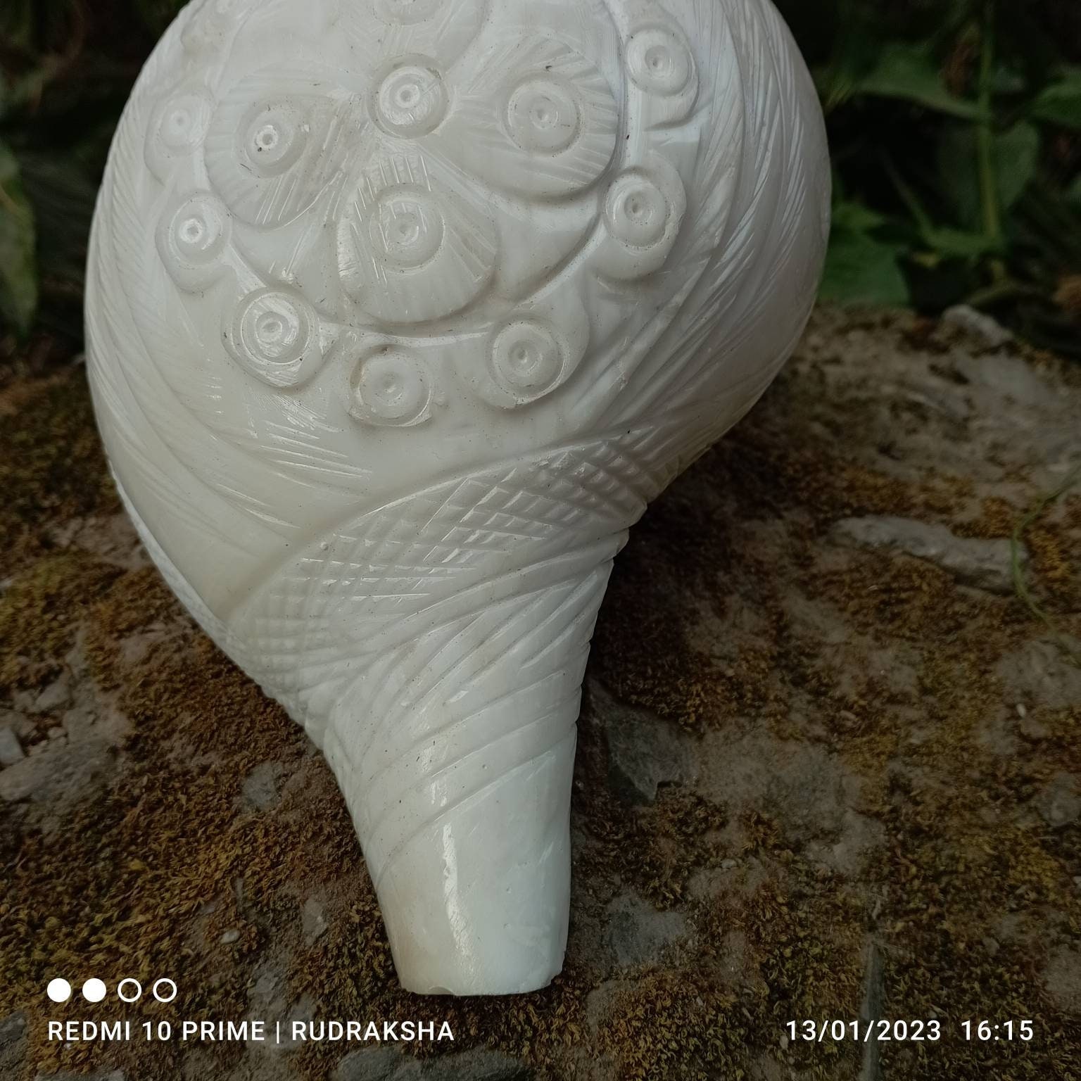 Conch Shell Spiritual Puja-blowing Shankh Big Loud,unique Soothing ...