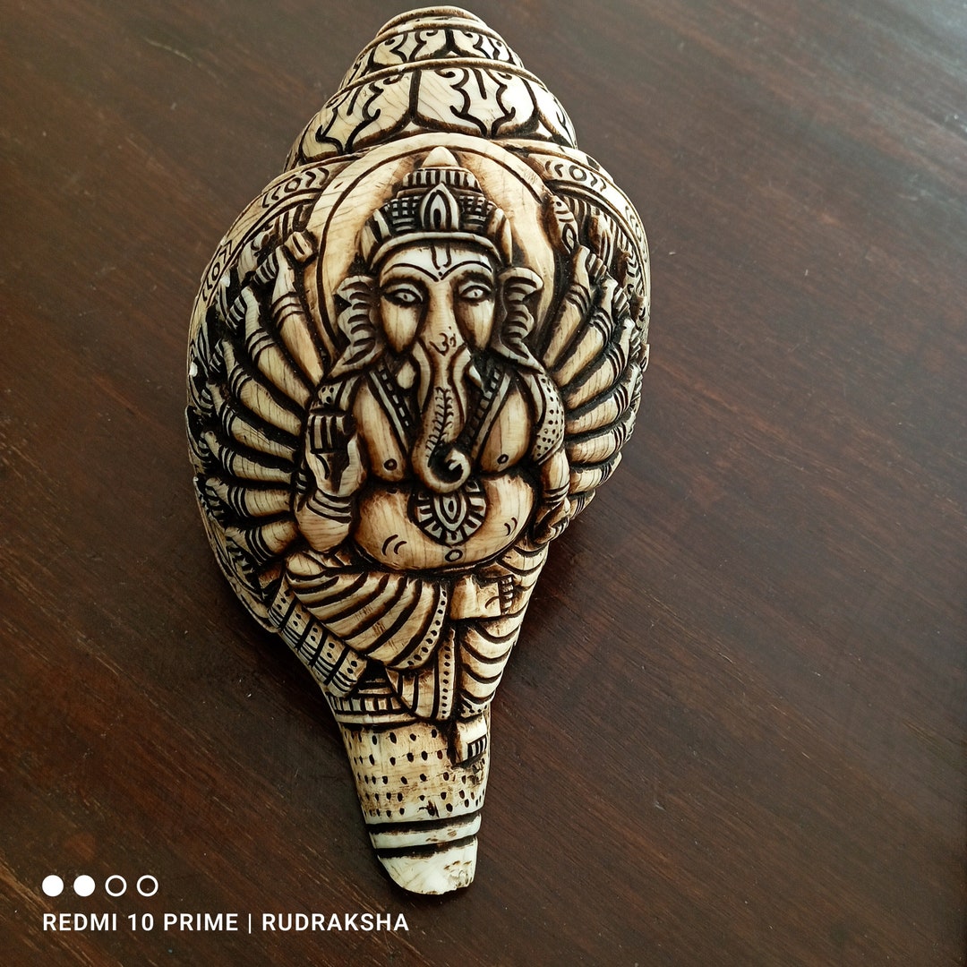 Ganesha Conch Shell: 7" Spiritual Puja Blowing Shankh - Etsy