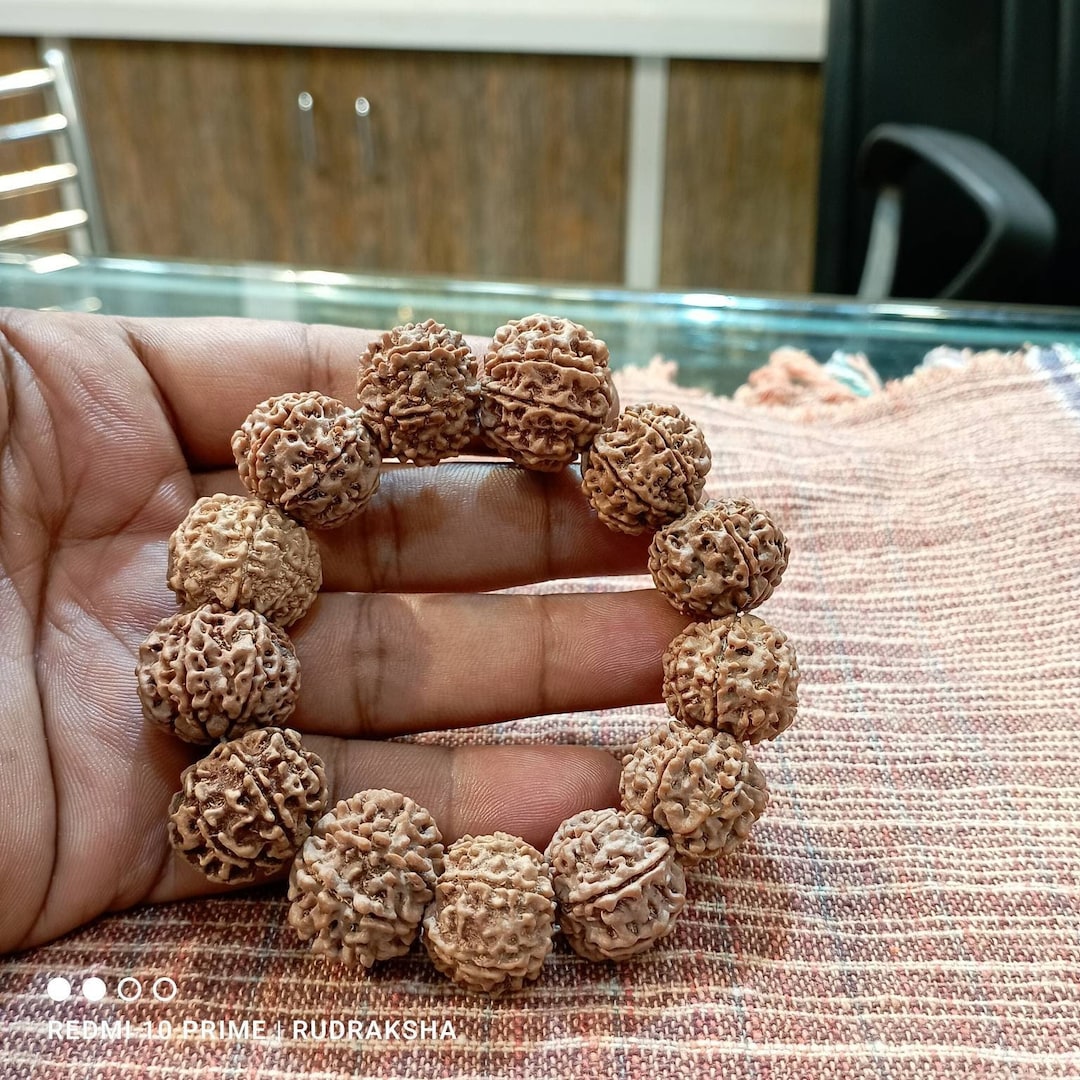 7 Mukhi Rudraksha Bracelet / Seven Face Rudraksh Wristlet Nepal 19.MM.TO 22.MM 13 Rudraksha Bead ...