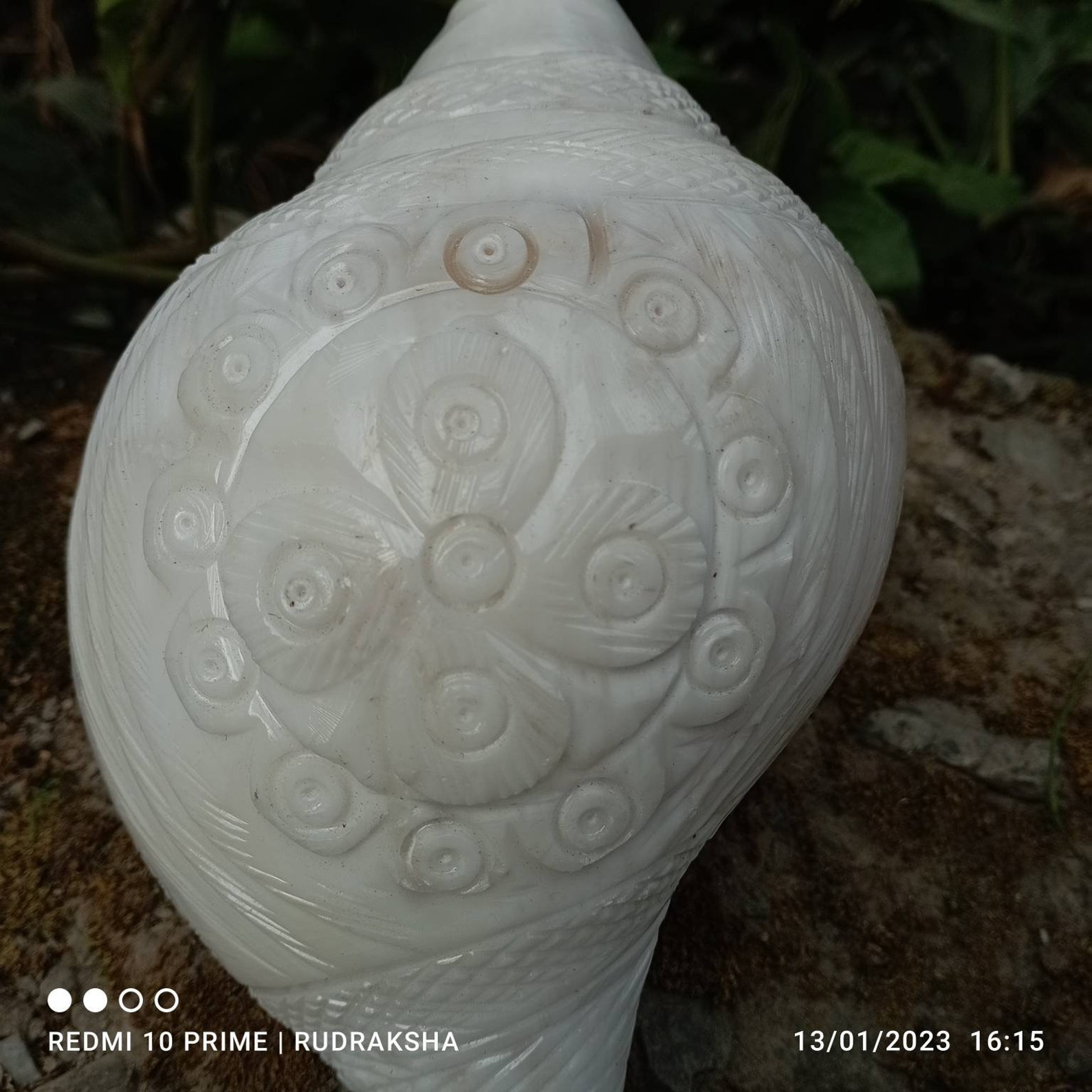 Conch Shell Spiritual Puja-blowing Shankh Big Loud,unique Soothing ...