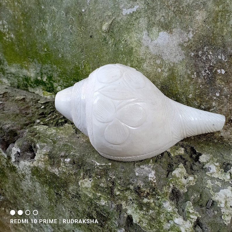 Conch Shell Spiritual Puja-blowing Shankh Big 9 Inches Soothing ...